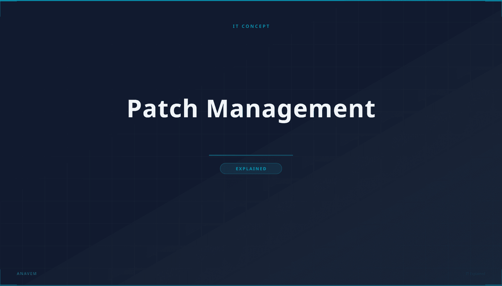 What is Patch Management? Definition, Process & Best Practices